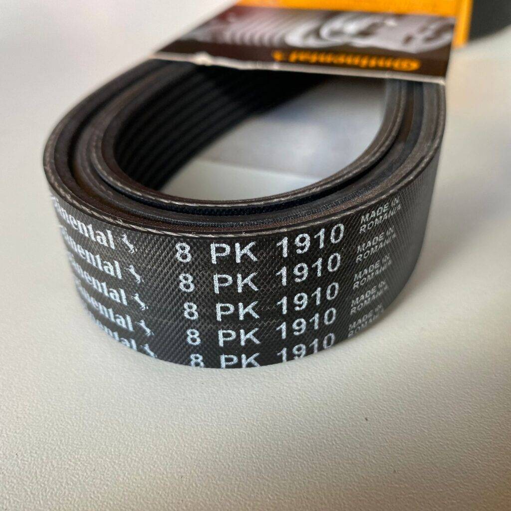 CORREIA POLY V 8PK 1910 CONTINENTAL (MODELO RIBS CONTINUOS) - Casa da ...